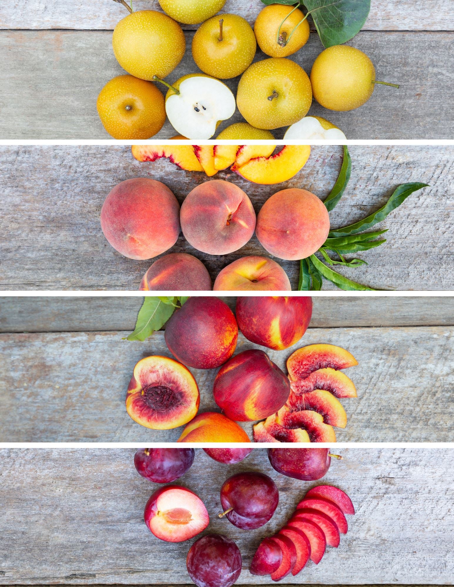 CSA Box of the Week – Frog Hollow Farm