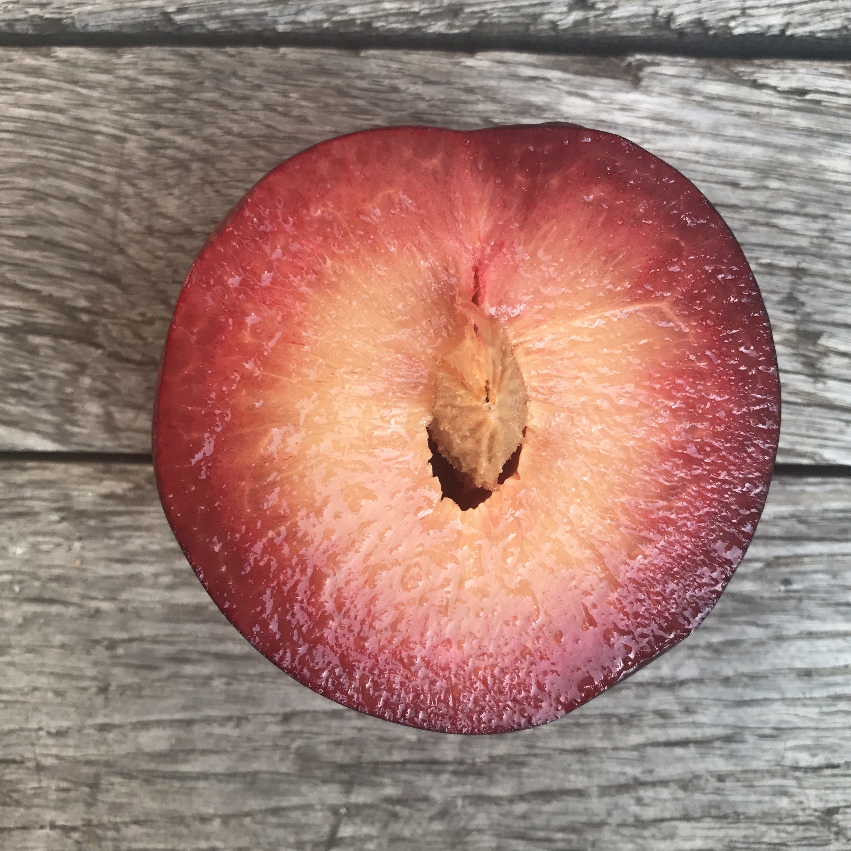 Which Is The Best Pluot? Flavor King, No Doubt! – Frog Hollow Farm