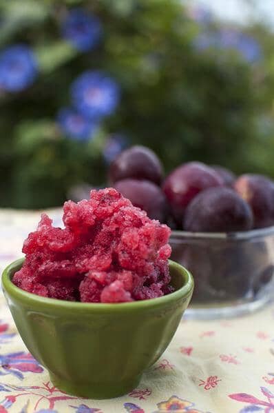Plum Granita – Frog Hollow Farm