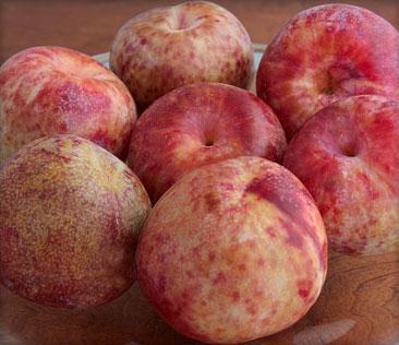 Organic Dapple Dandy Pluots: Now Shipping from Tree to Table in 48 ...