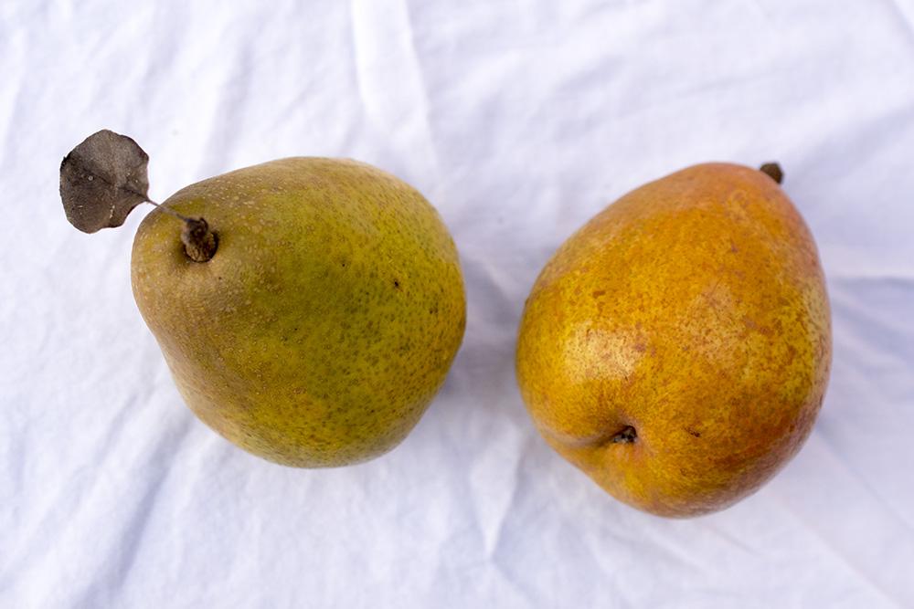 What Makes Warren Pears Taste Better than Others | Cooking | Recipes ...
