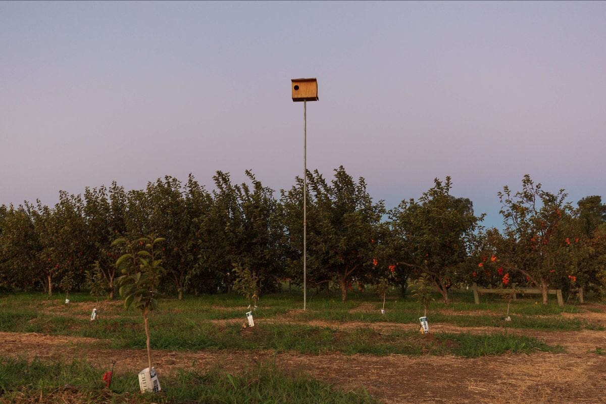 Integrated Pest Management, part 1: Owls keep gophers in check – Frog ...