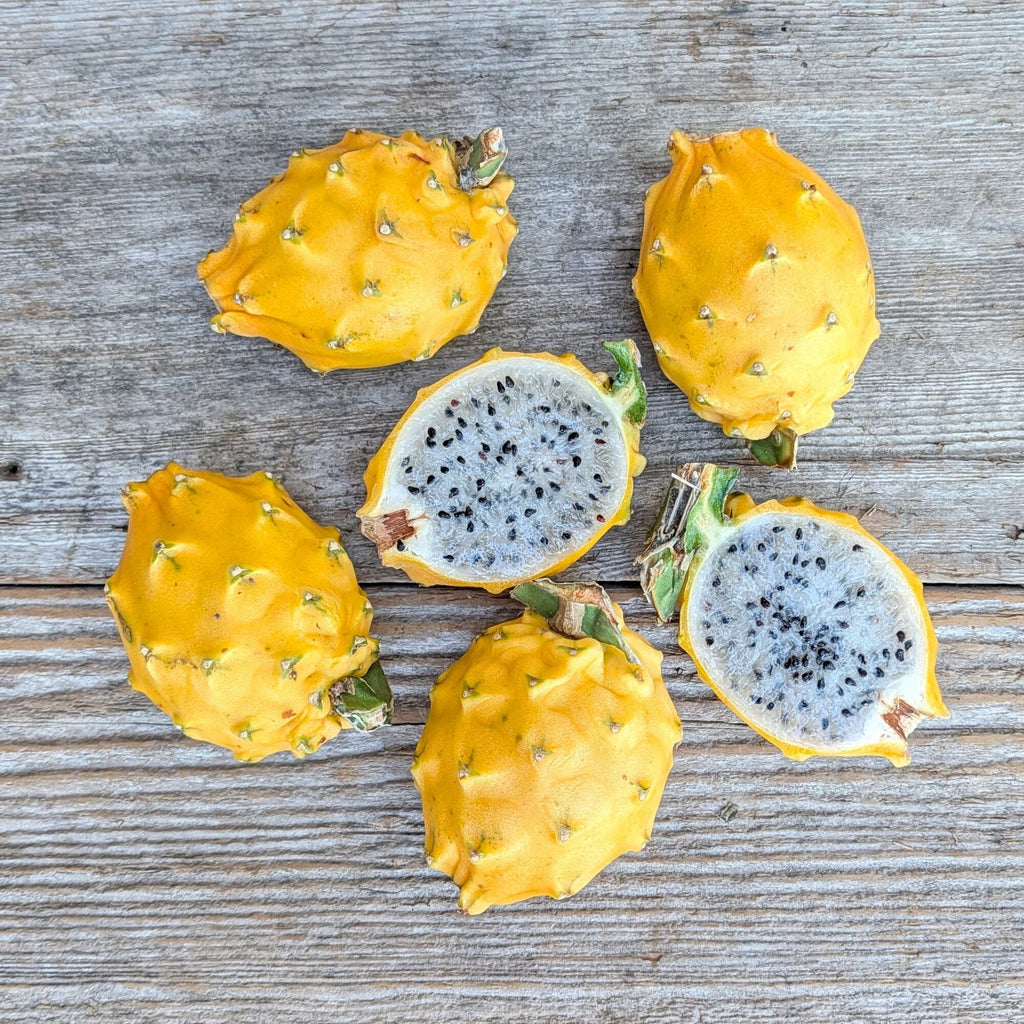Organic Yellow Dragon Fruit – Frog Hollow Farm