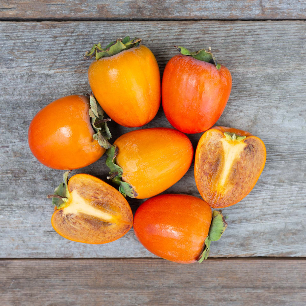Organic Chocolate Hachiya Persimmons – Frog Hollow Farm