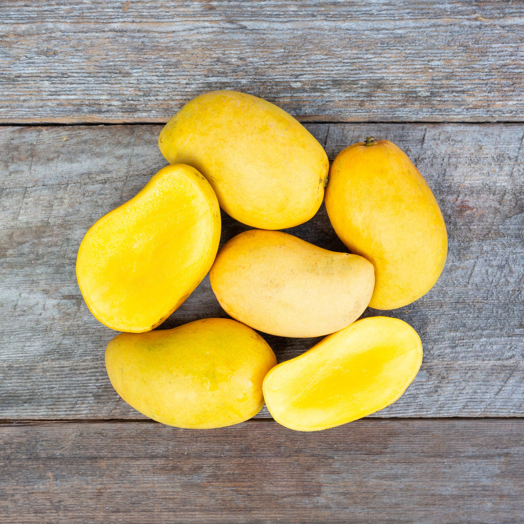 Organic Mangoes Mexico – Frog Hollow Farm