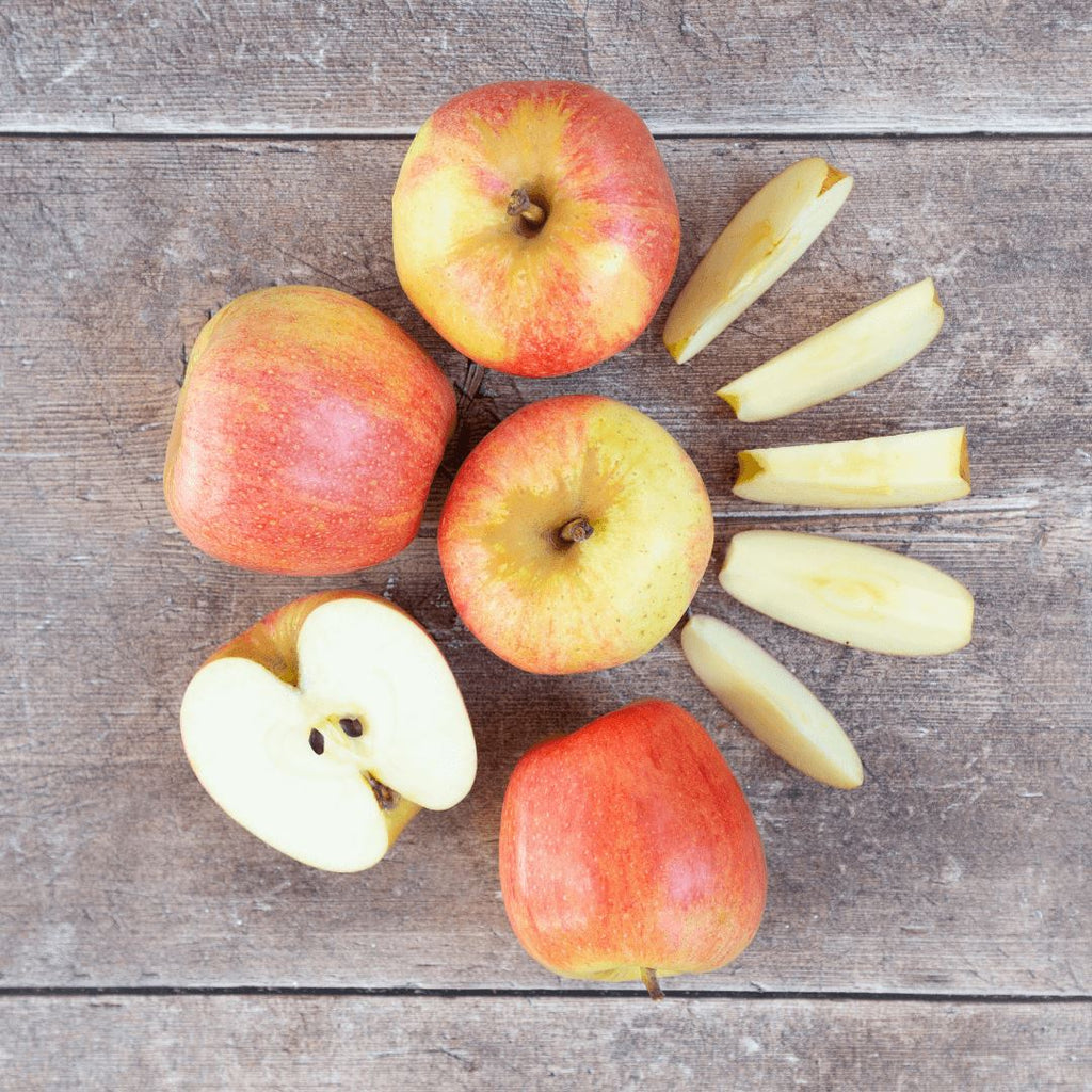 Organic Gala Apples – Frog Hollow Farm