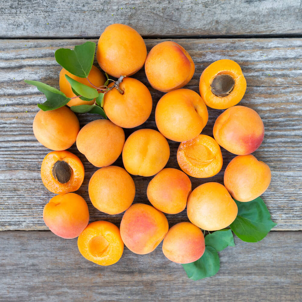 Organic Goldensweet Apricots - Frog Hollow Farm