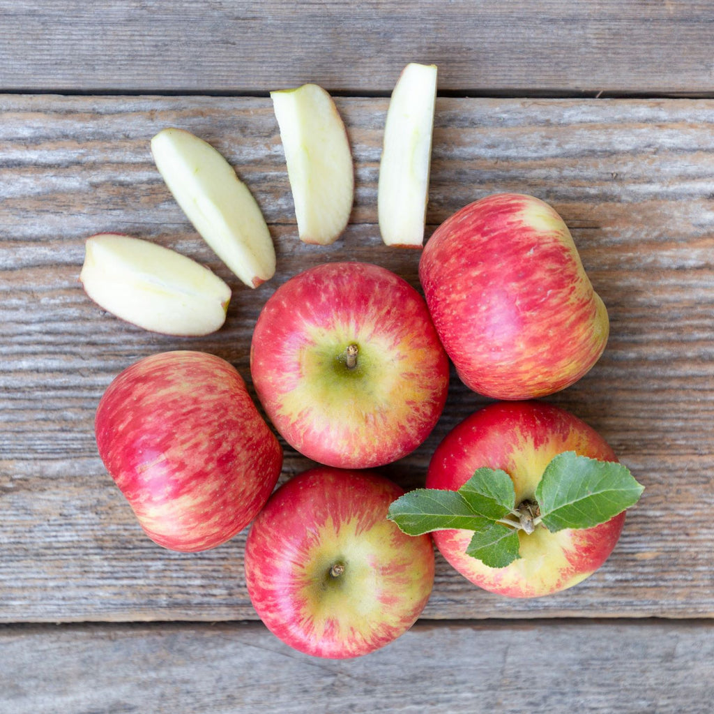 Organic Honeycrisp Apples – Frog Hollow Farm