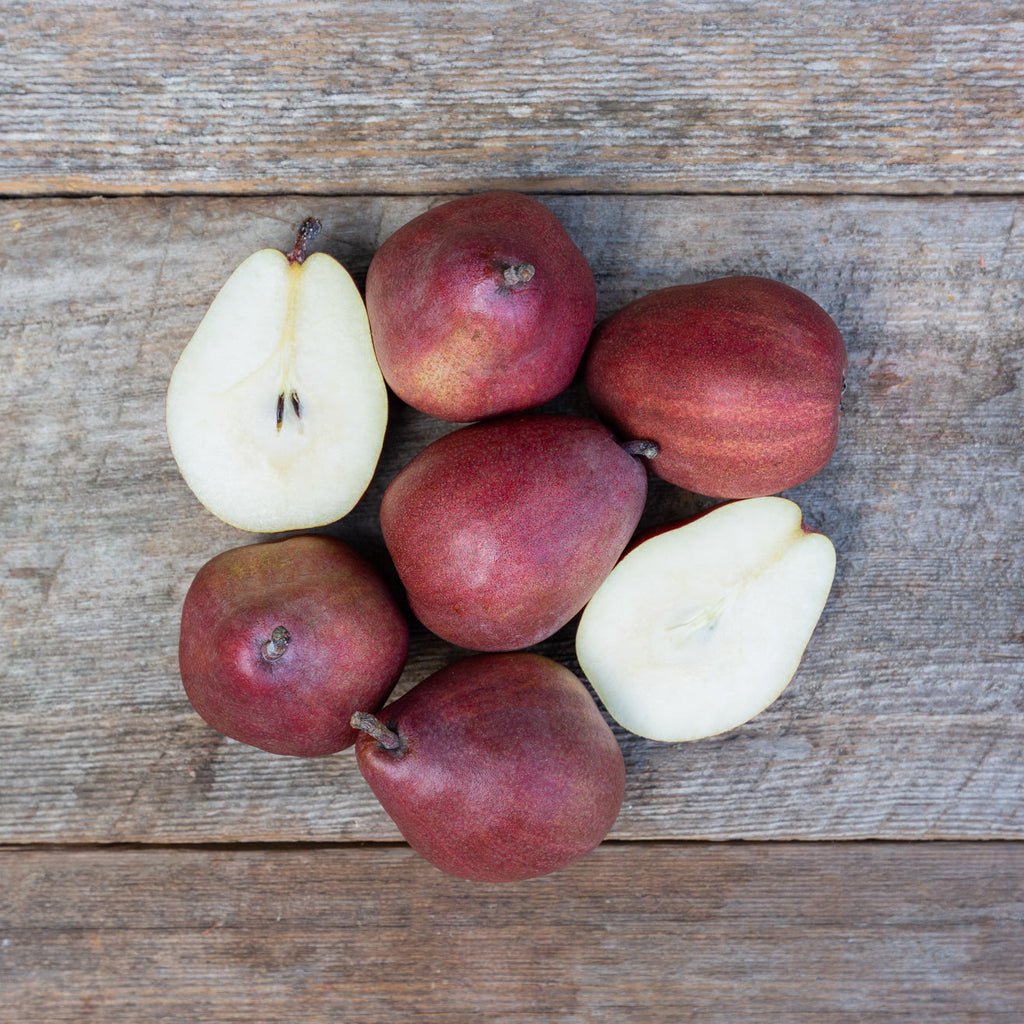 Organic Red D/Anjou Pears | Frog Hollow Farm