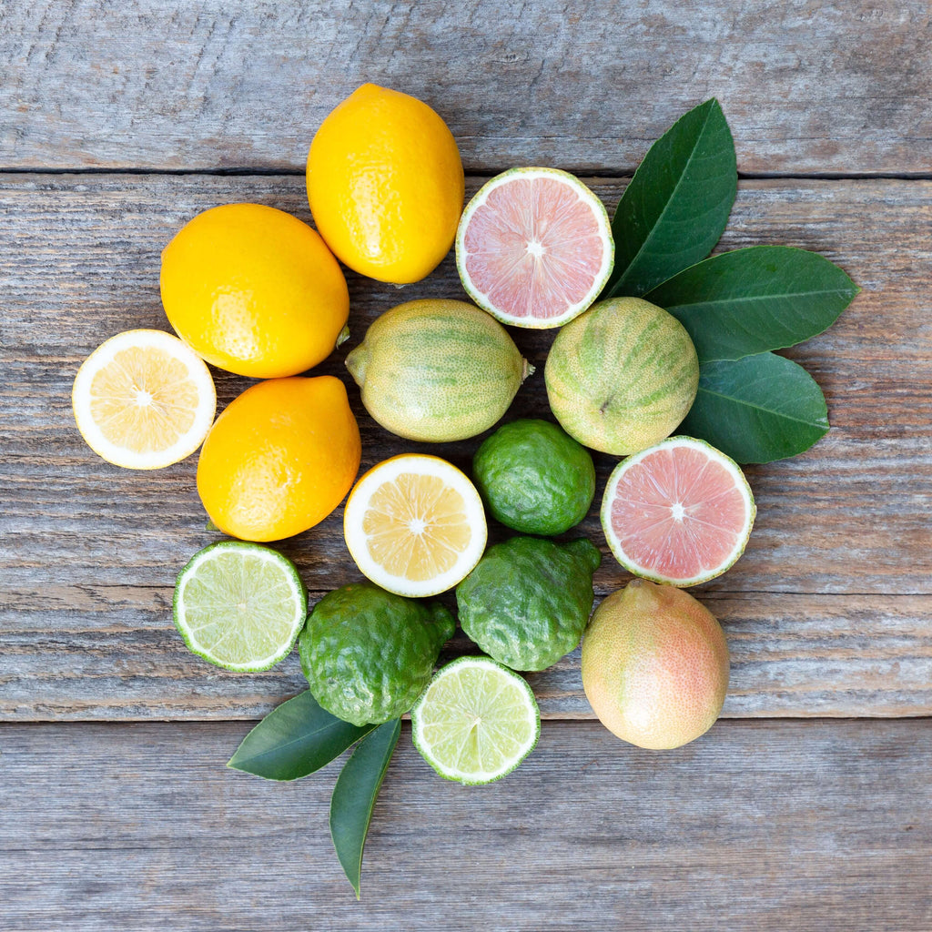Organic Sour Citrus Trio – Frog Hollow Farm