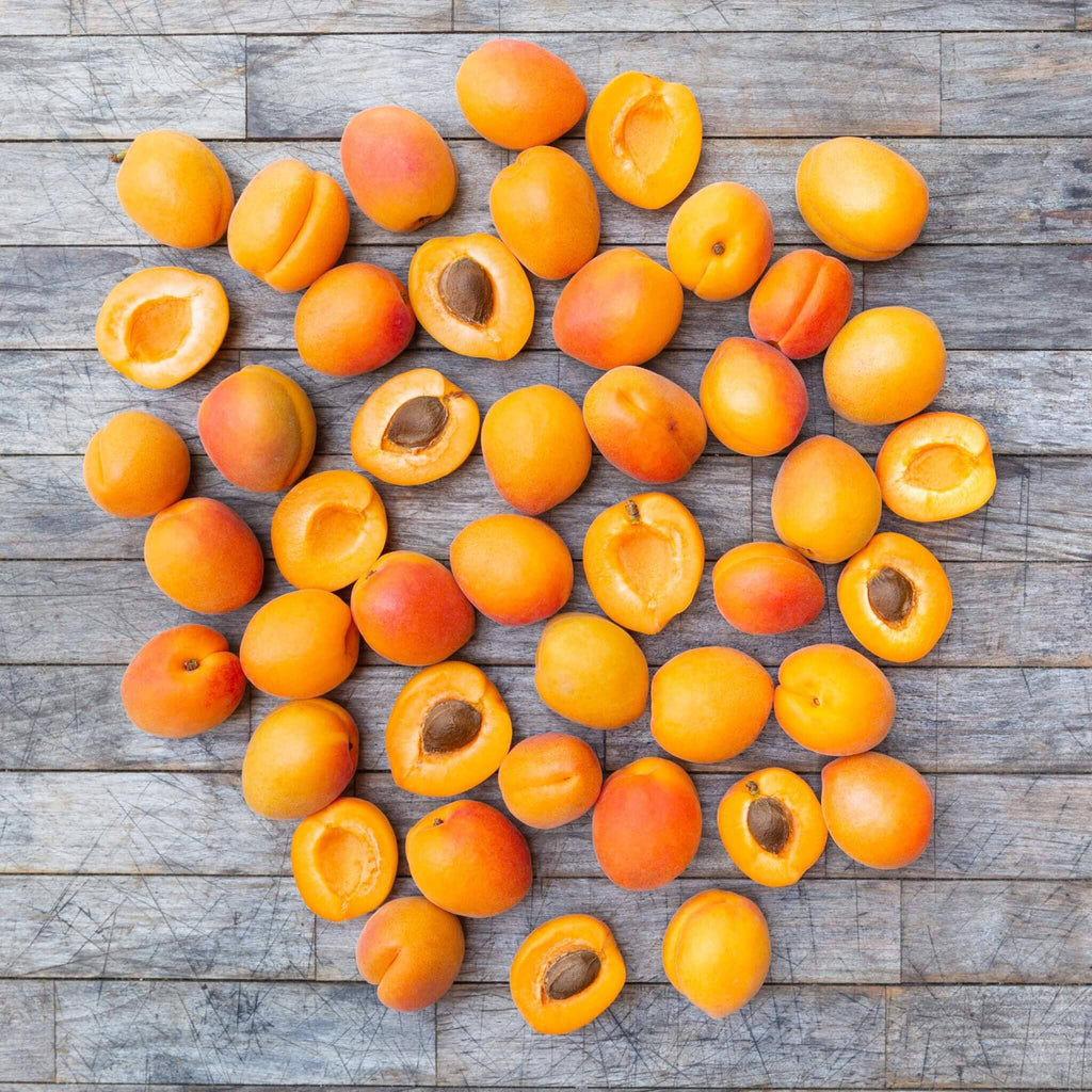 Organic Apriums – Frog Hollow Farm