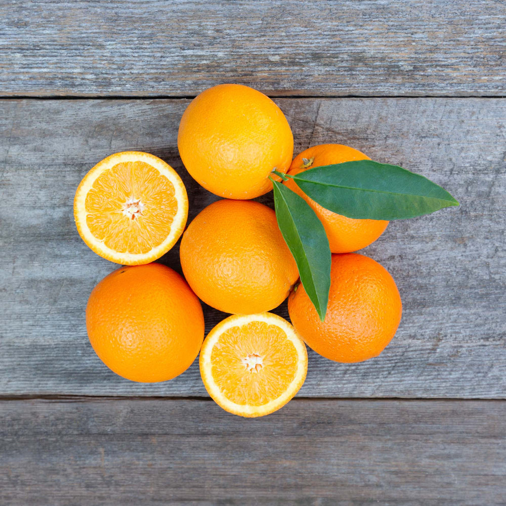Organic Heirloom Navel Oranges – Frog Hollow Farm