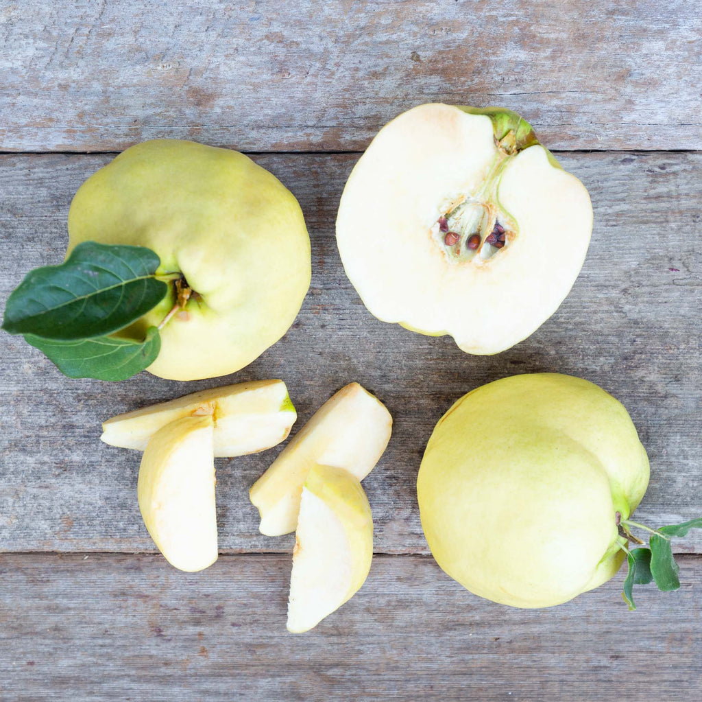Organic Quince – Frog Hollow Farm