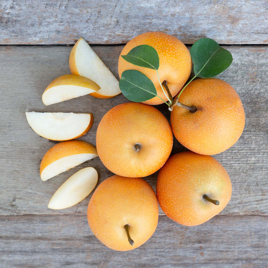 Organic Shinko Asian Pears – Frog Hollow Farm