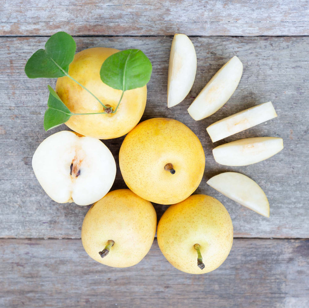 Organic Shinseiki Asian Pears – Frog Hollow Farm